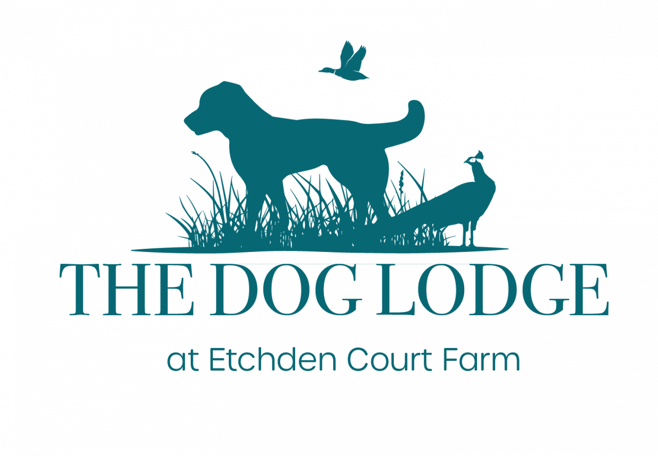 THE DOG LODGE - Rockpool Creative